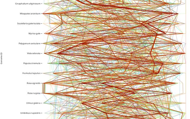 Synteny across MEMs / Max Brown | Observable