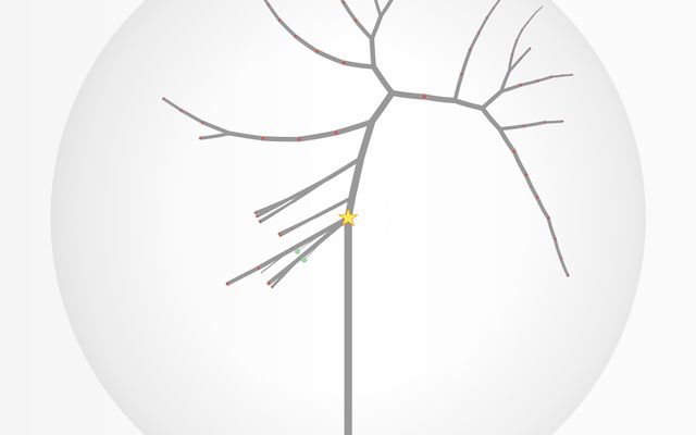 Nicolas Collignon | Observable