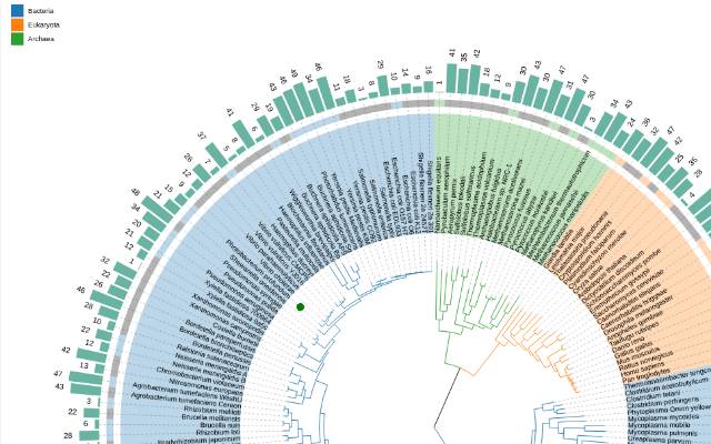 View the most liked Notebooks of the last month | Observable