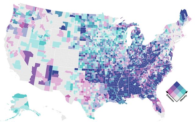 Bivariate Choropleth D3 Observable 