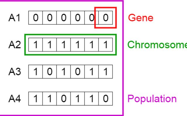 Genetic Algorithm / Andreas Rau | Observable