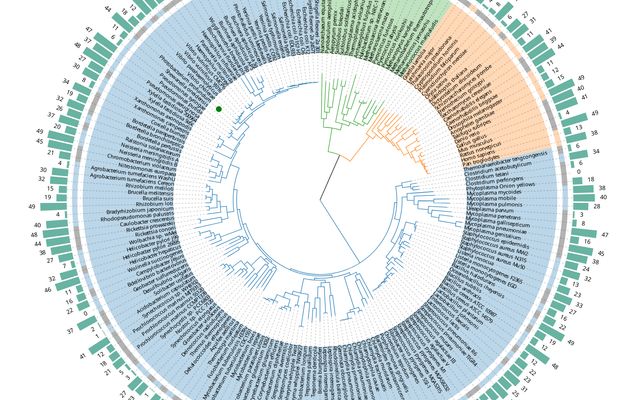 View the most liked Notebooks of the last month | Observable