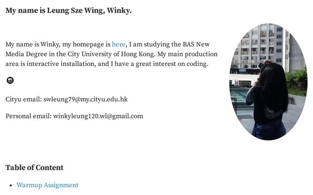 Software Art Studio Homepage / Lsw | Observable