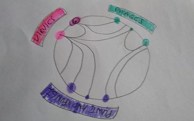 D3 Virhostnet Layout / Gouayave | Observable D3 Virhostnet Layout / Gouayave | Observable