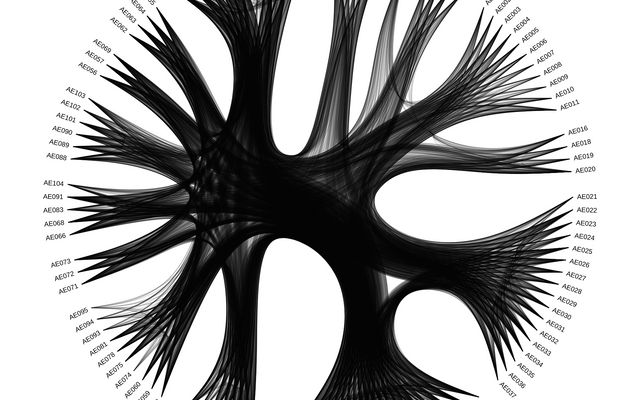 Hierarchical Edge Bundling Guatemala Economy / Benjamin Leiva | Observable